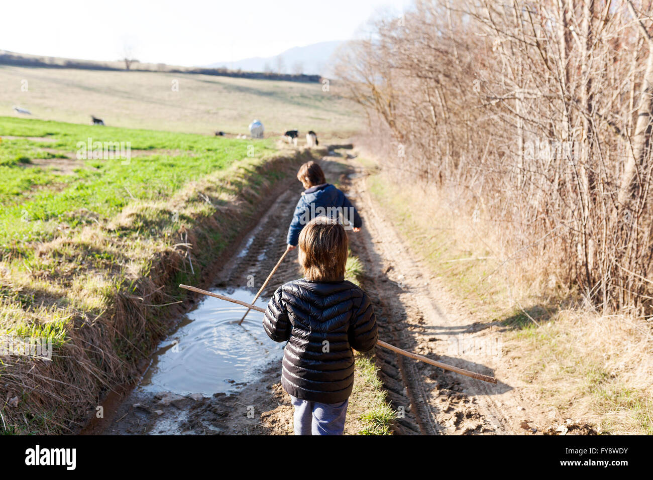 Back view of two little boys playing in nature Stock Photo - Alamy