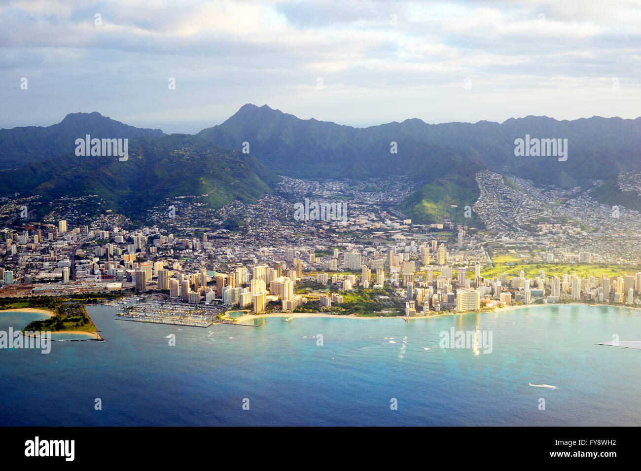 Birds of honolulu hi-res stock photography and images - Alamy