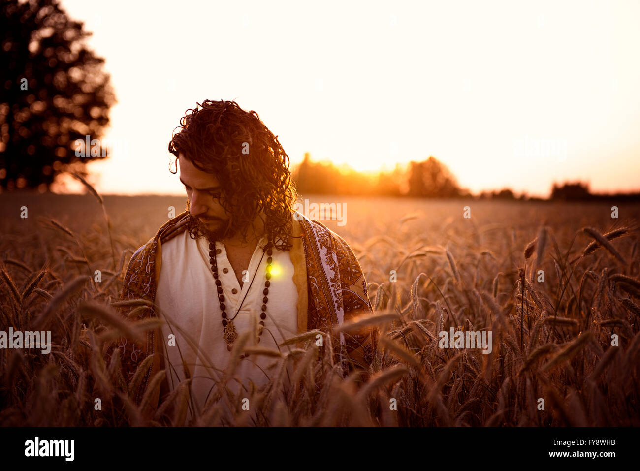 Man standing in corn field looking down Stock Photo - Alamy
