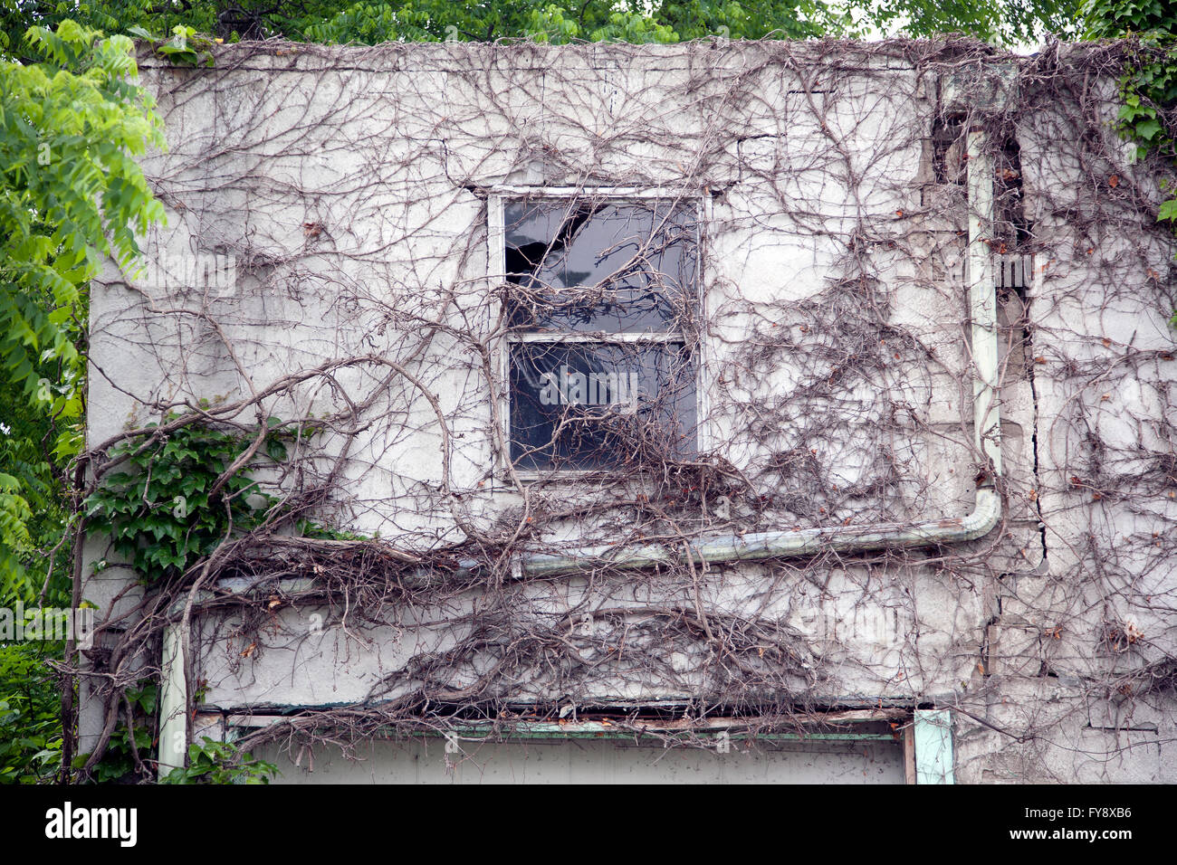 Homes in disrepair hi-res stock photography and images - Alamy