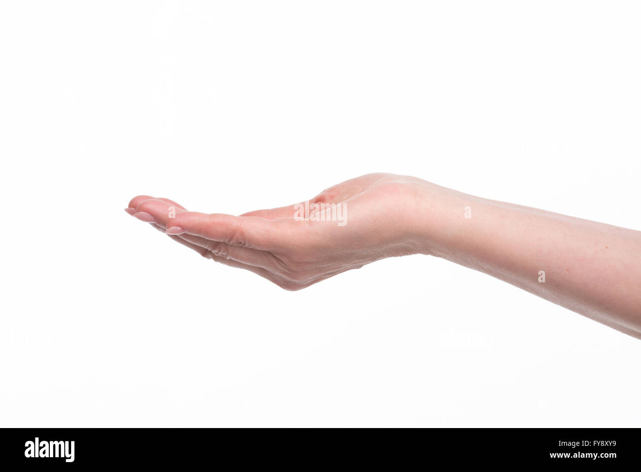 Woman's palm up Stock Photo - Alamy