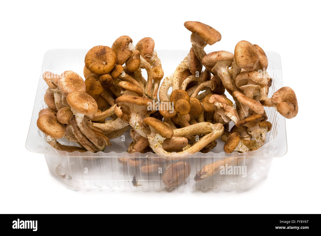 Mushrooms in a plastic box on a white background Stock Photo - Alamy