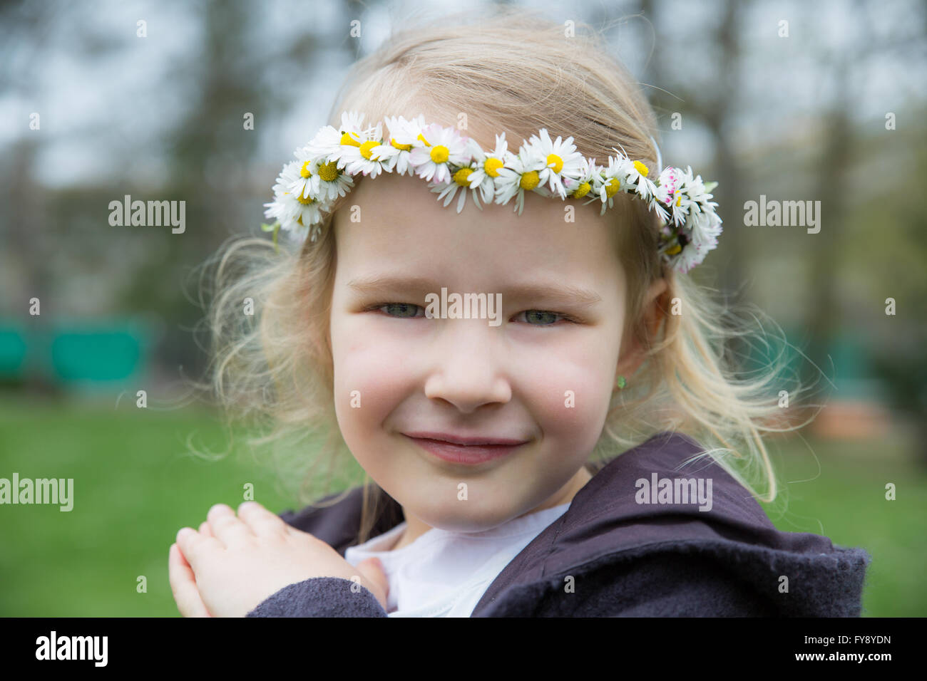Crown daisy flower hi-res stock photography and images - Alamy