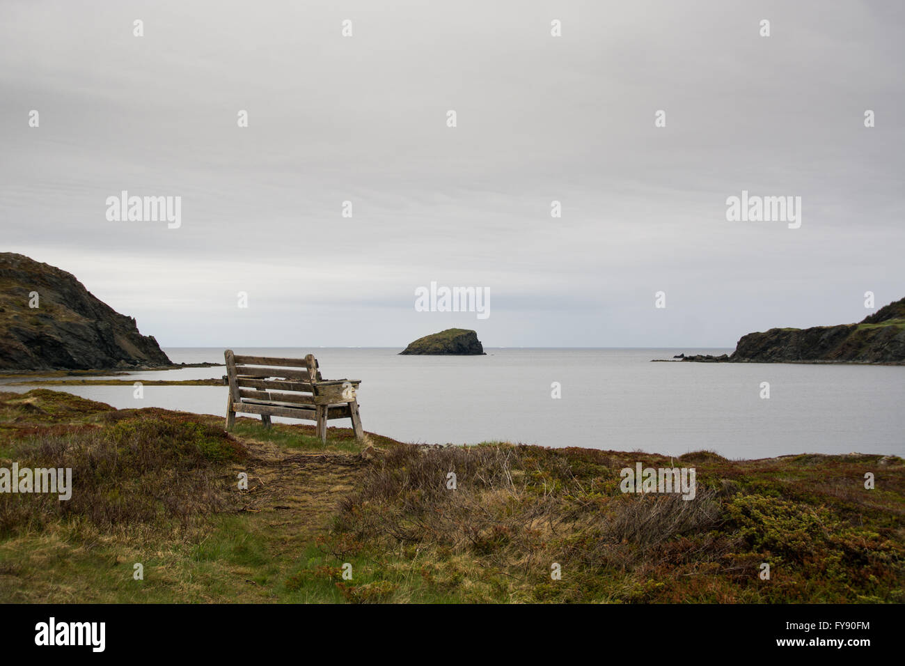 Viewing bench hi-res stock photography and images - Alamy