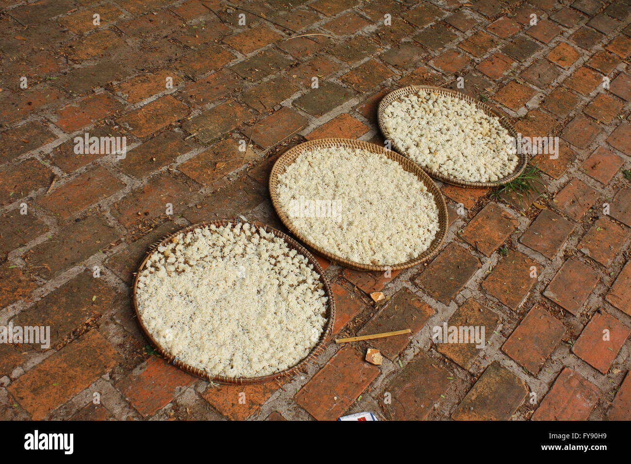 Rice in three handwoven panels drying in the sun, Laos Stock Photo - Alamy