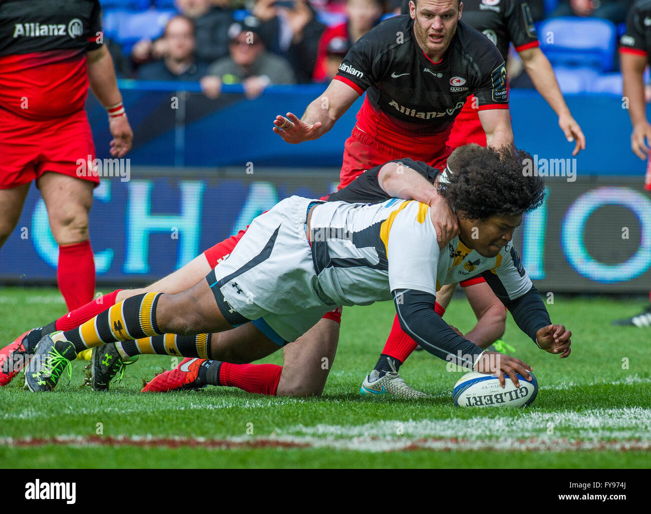 Wasps ashley johnson hi-res stock photography and images - Alamy