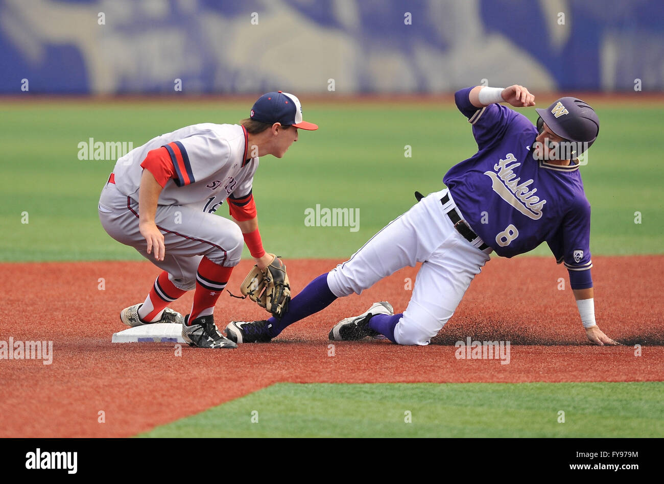 Husky ballpark hi-res stock photography and images - Alamy
