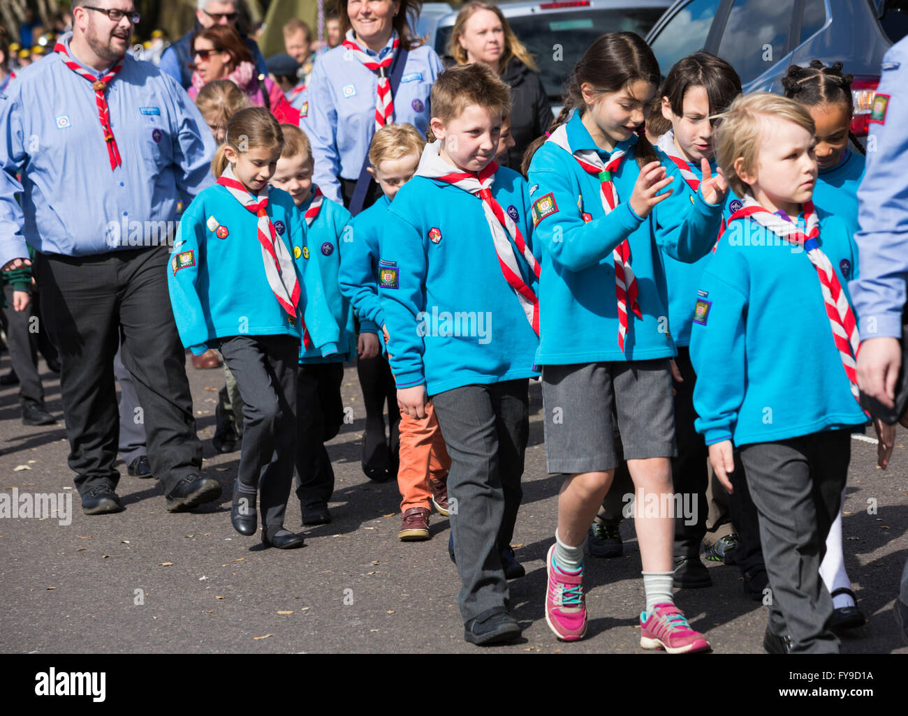 Scouts uk badge hi-res stock photography and images - Alamy