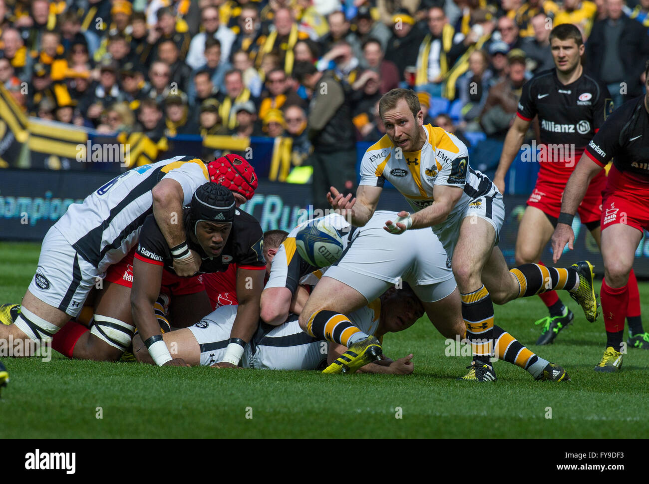 Dan robson of wasps rugby hi-res stock photography and images - Alamy