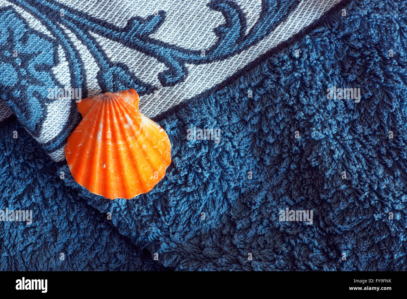 Sea shells and blue towel Stock Photo - Alamy