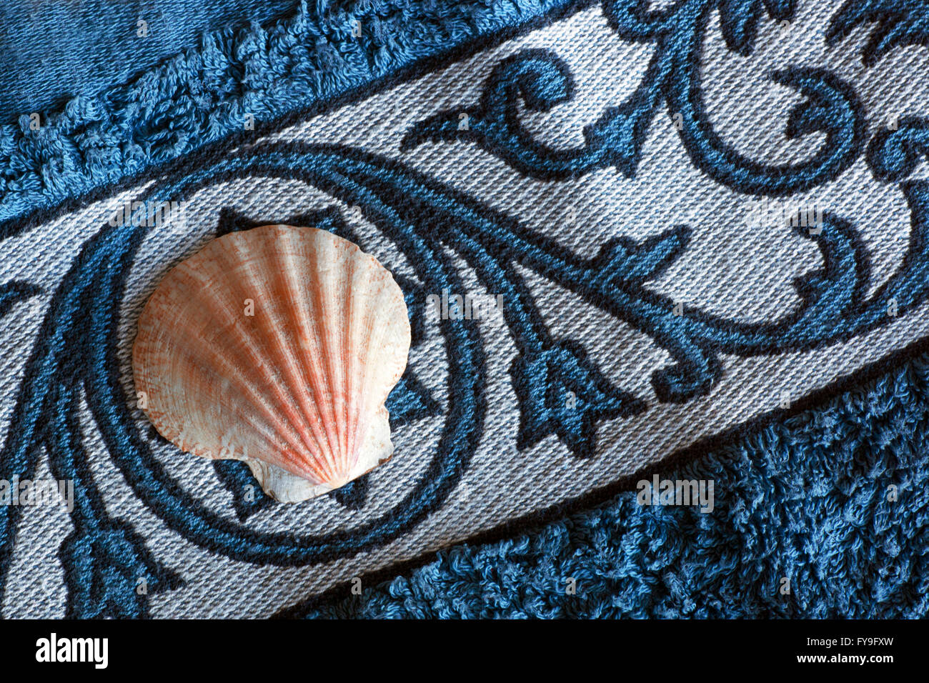 Sea shells and blue towel Stock Photo - Alamy