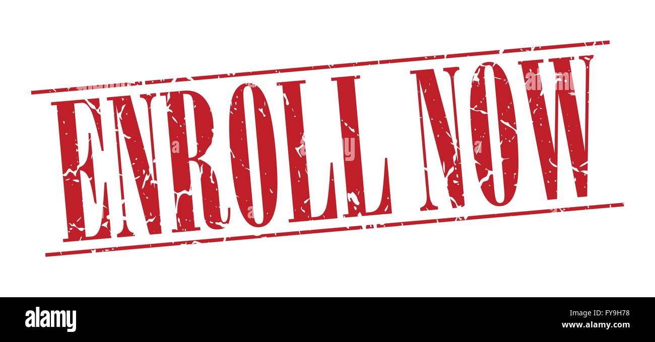 enroll now red grunge vintage stamp isolated on white background Stock ...