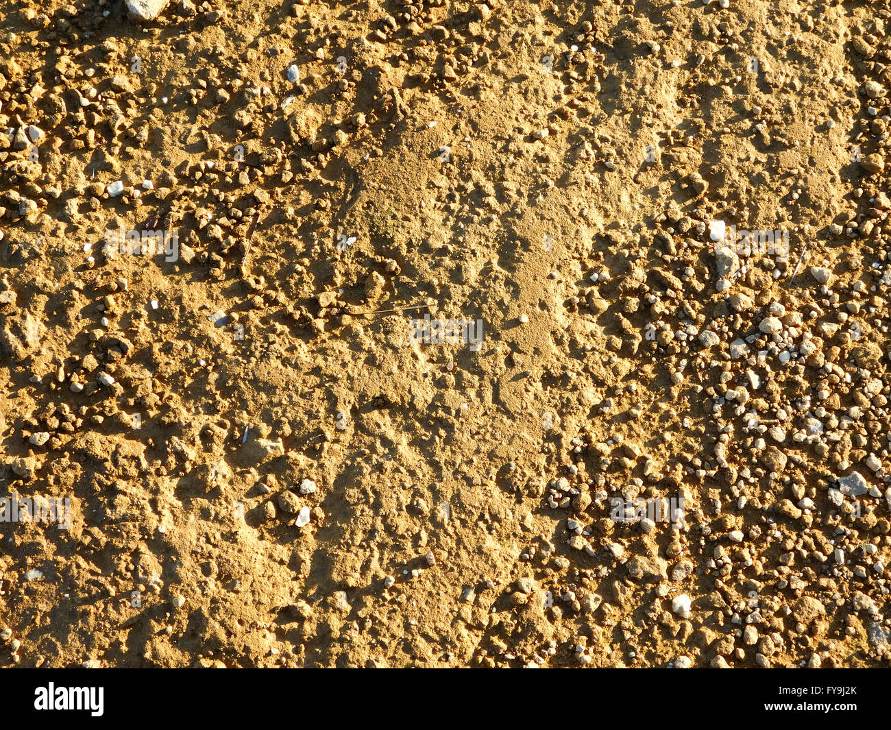 texture of land Stock Photo - Alamy
