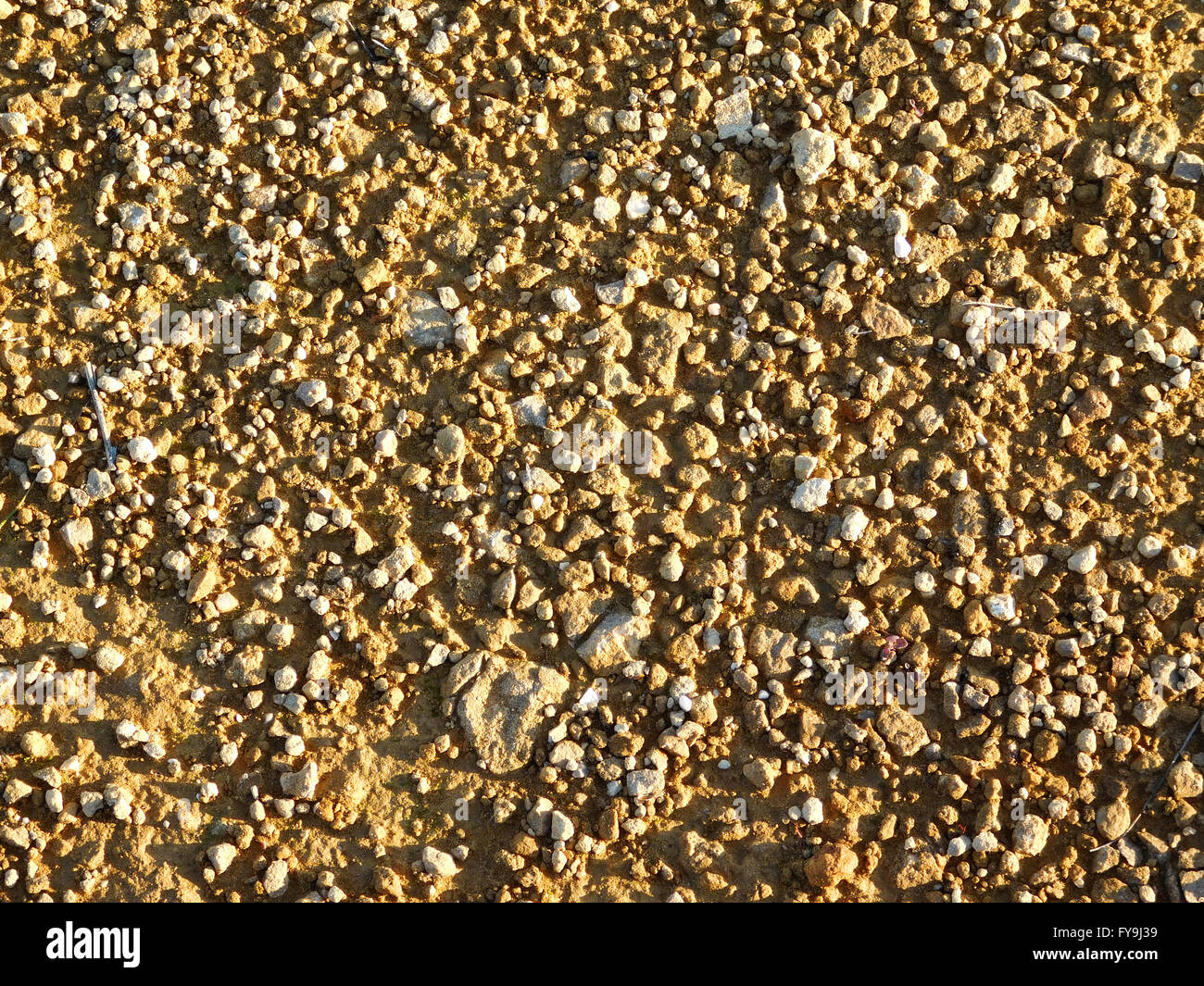 texture of land Stock Photo - Alamy