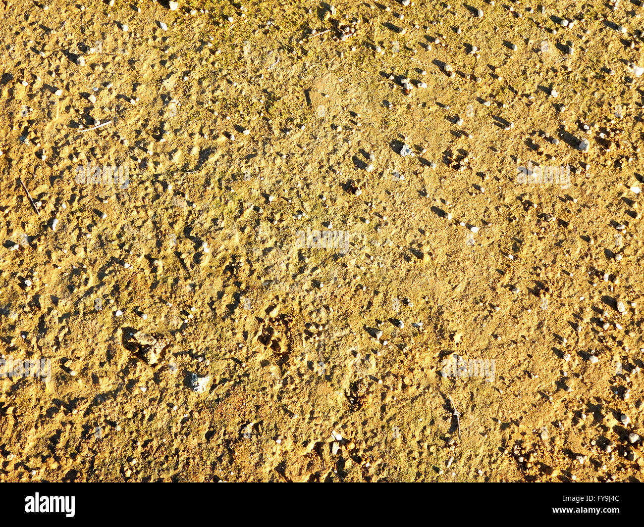 texture of land Stock Photo - Alamy