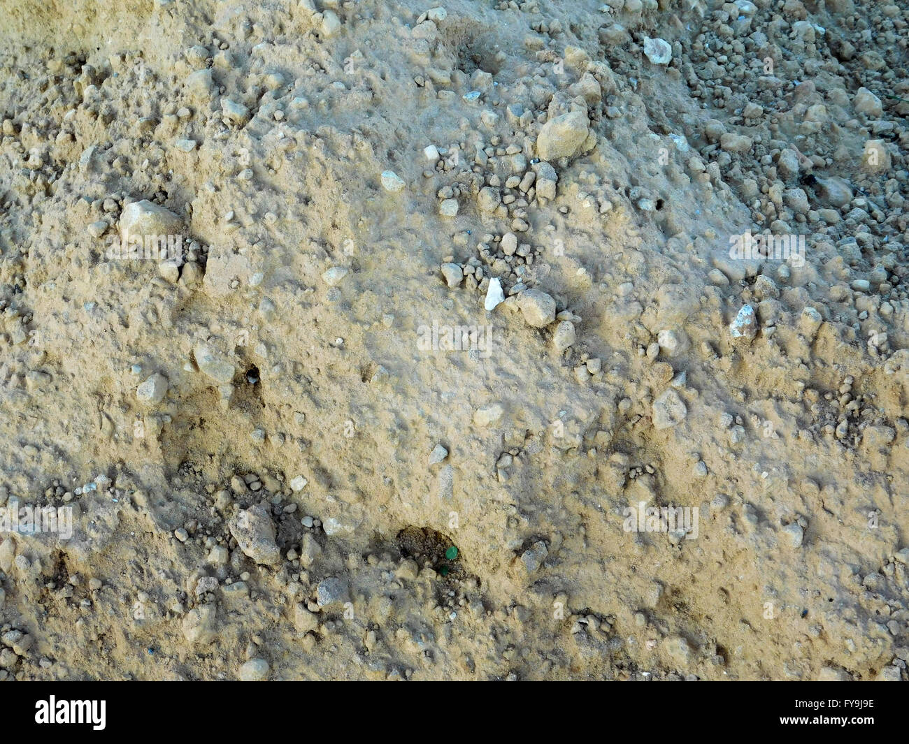 texture of land Stock Photo - Alamy