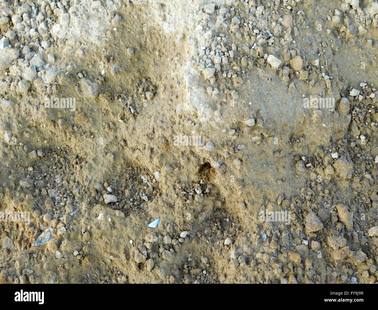 texture of land Stock Photo - Alamy