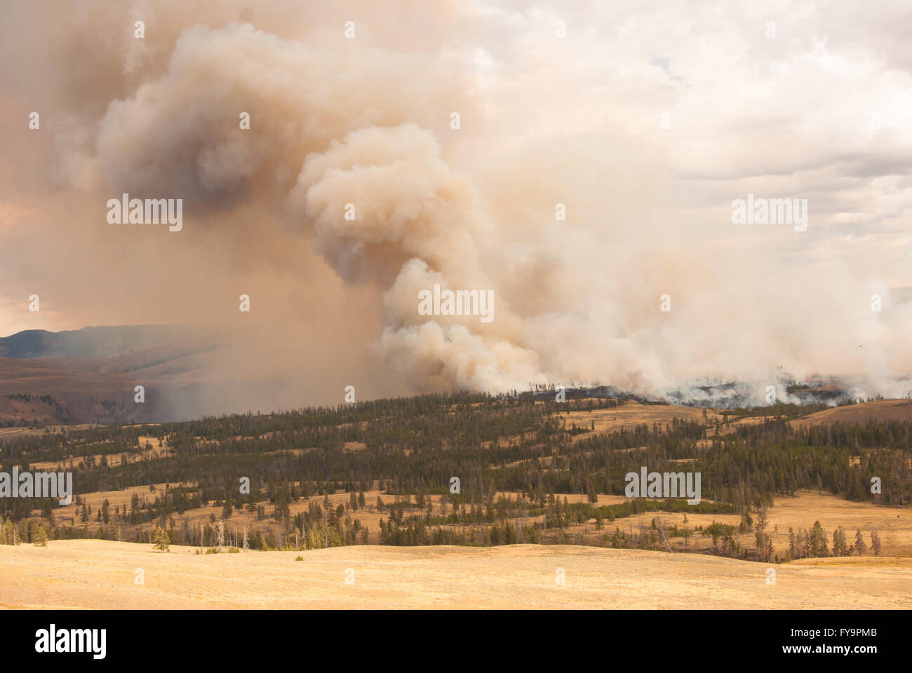 Intensify hi-res stock photography and images - Alamy