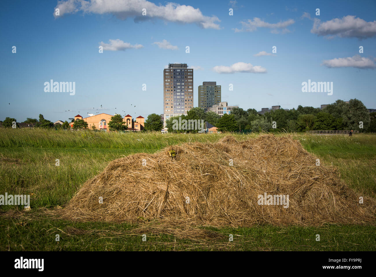 Lordship Recreation Ground & Broadwater Farm housing estate, Tottenham ...