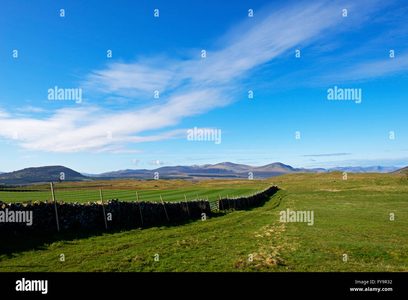 Eycott hill reserve hi-res stock photography and images - Alamy