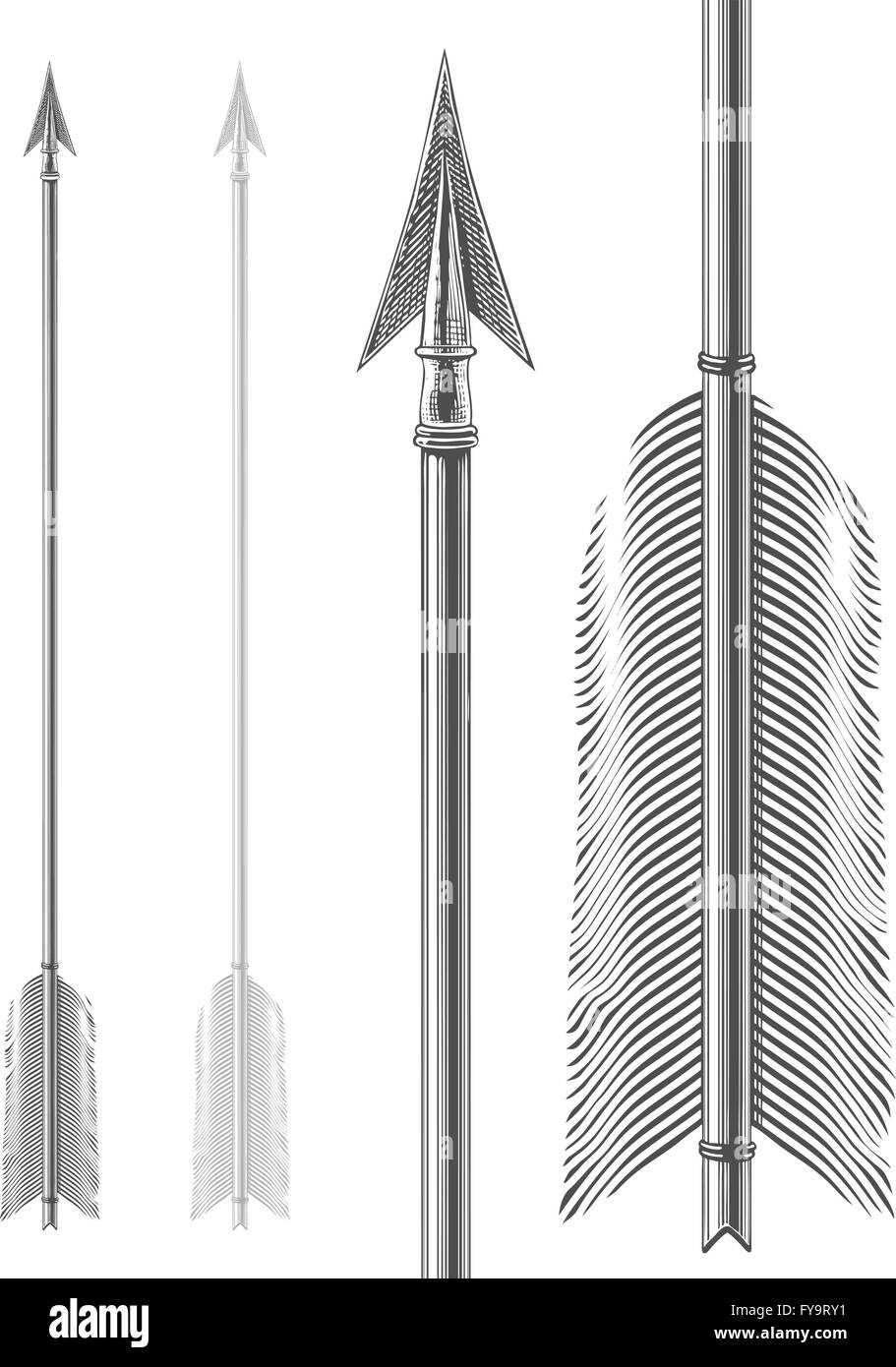 Illustration bow arrow in Black and White Stock Photos & Images - Alamy