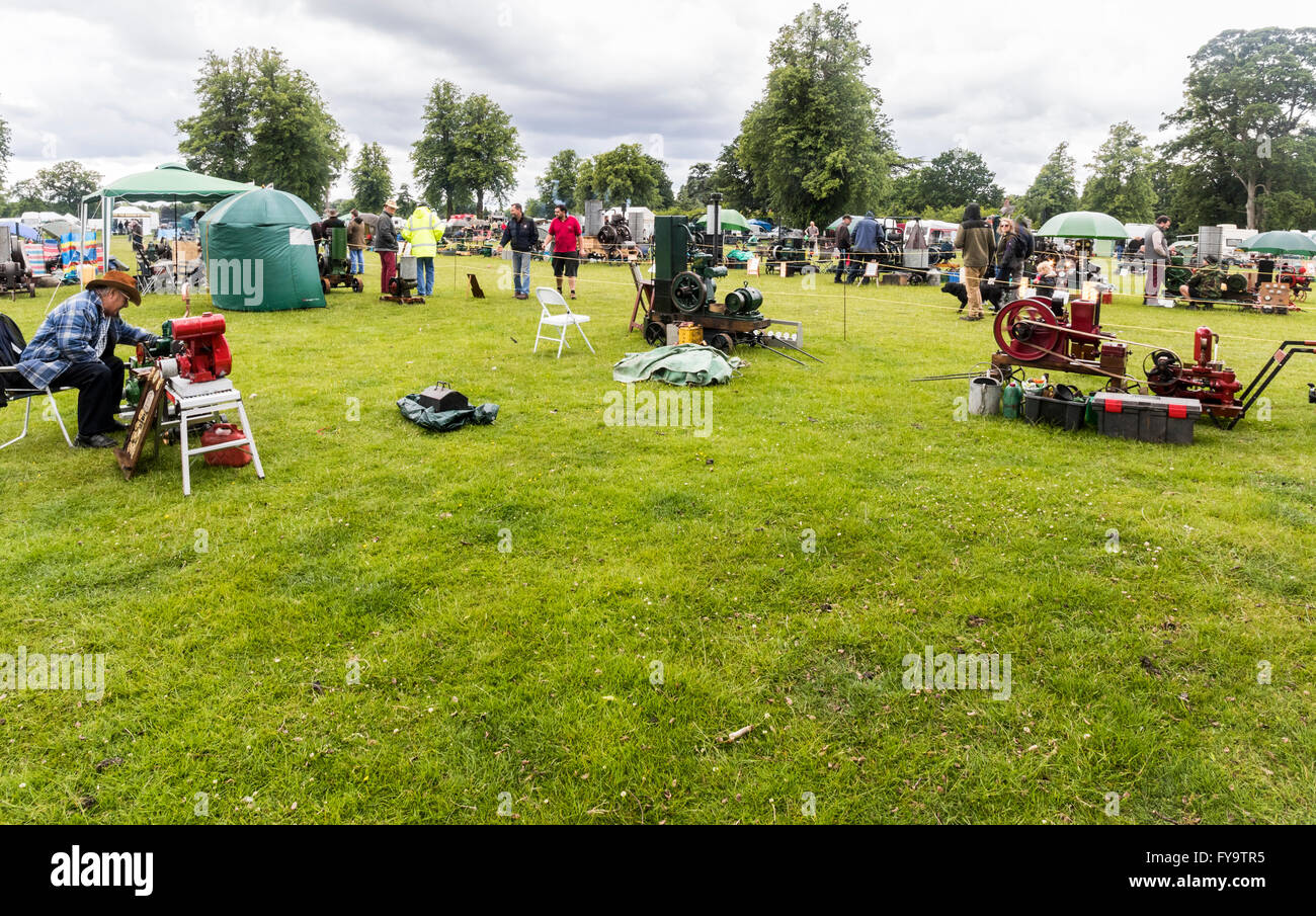 Steam rally chelford england hi-res stock photography and images - Alamy