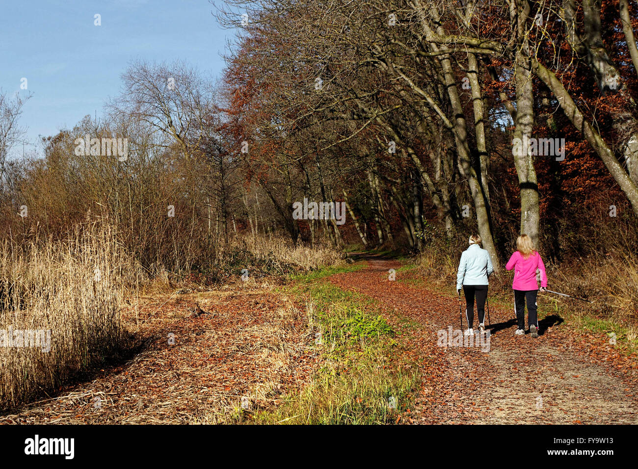 2 woman walking on country pathway with Nordic sticks, Chiemsee ...