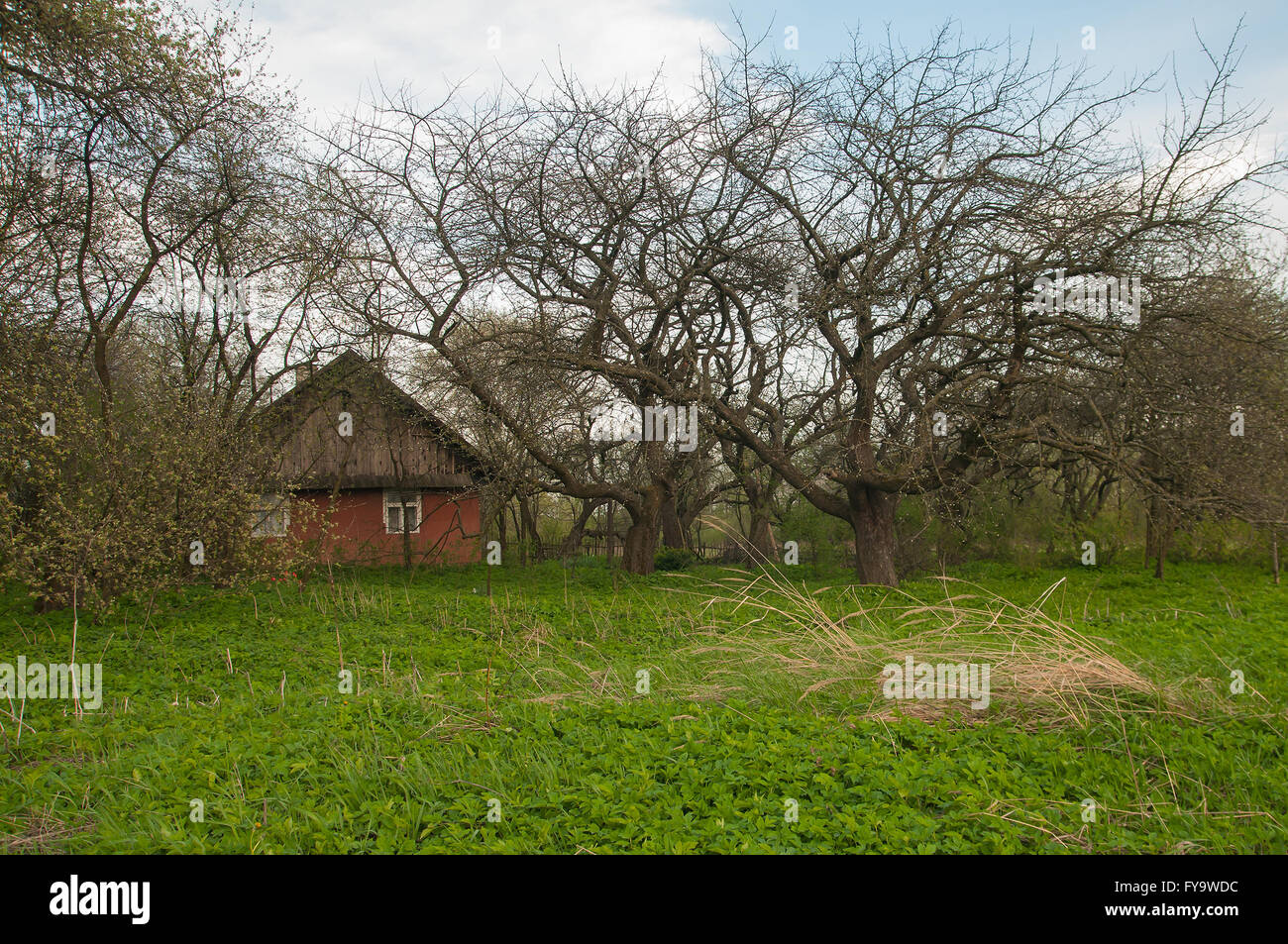 Ukrainian village in spring rural hi-res stock photography and images ...