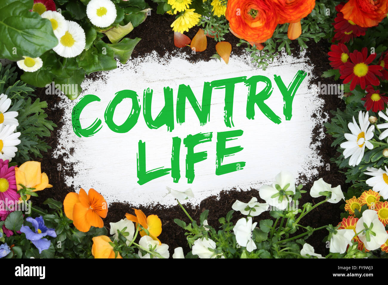 Country life living countryside garden with flowers flower on wooden ...