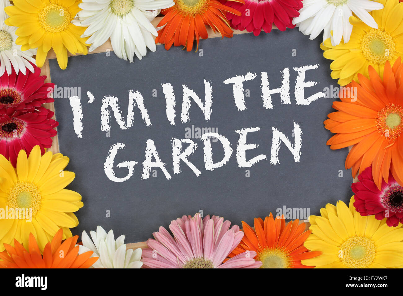 I'm in the garden with colorful flowers flower board sign Stock Photo ...