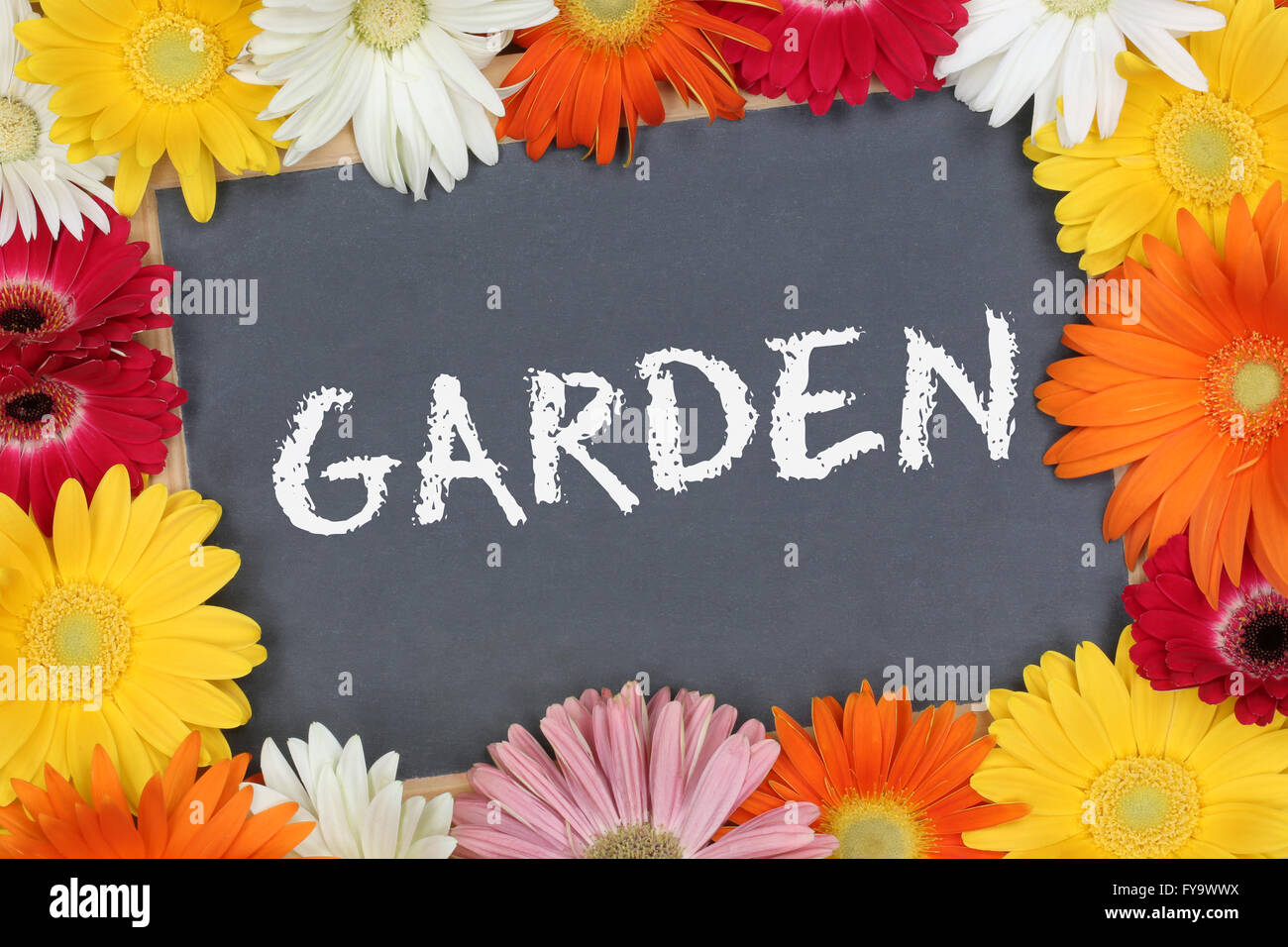 Garden with colorful flowers flower board sign Stock Photo - Alamy