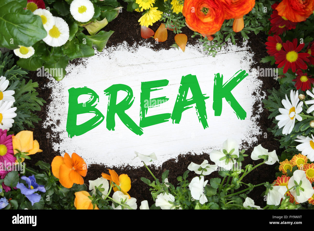 Take a break rest resting in the garden with flowers flower on wooden ...