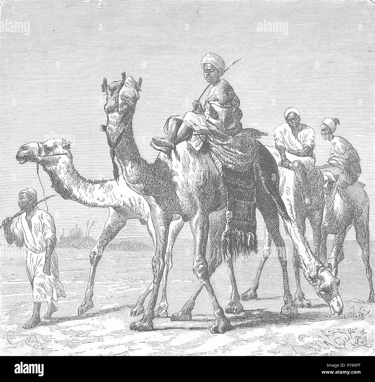 Camel Caravan Drawing