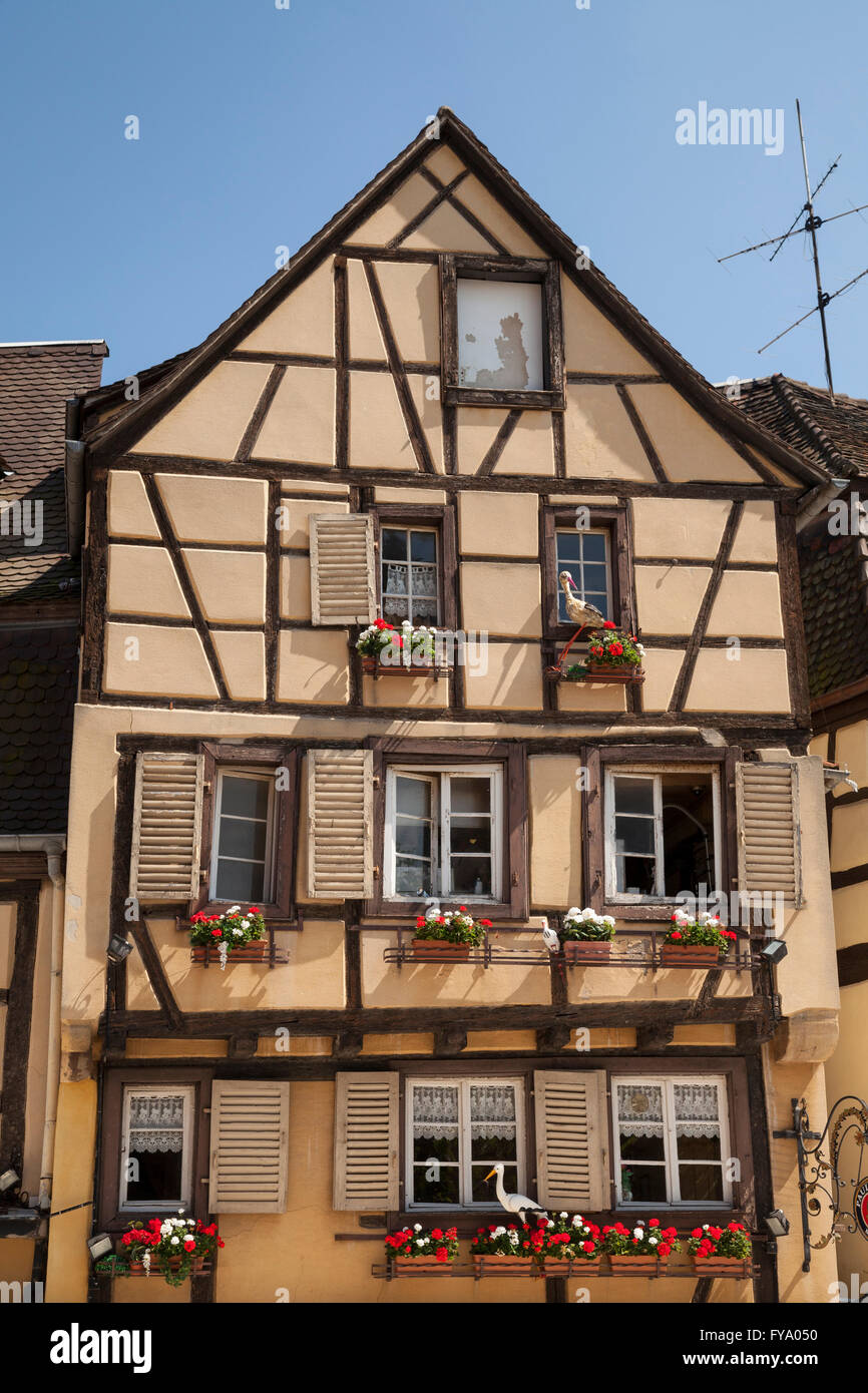 Half-timbered house with stork figures in the historic centre, Colmar ...