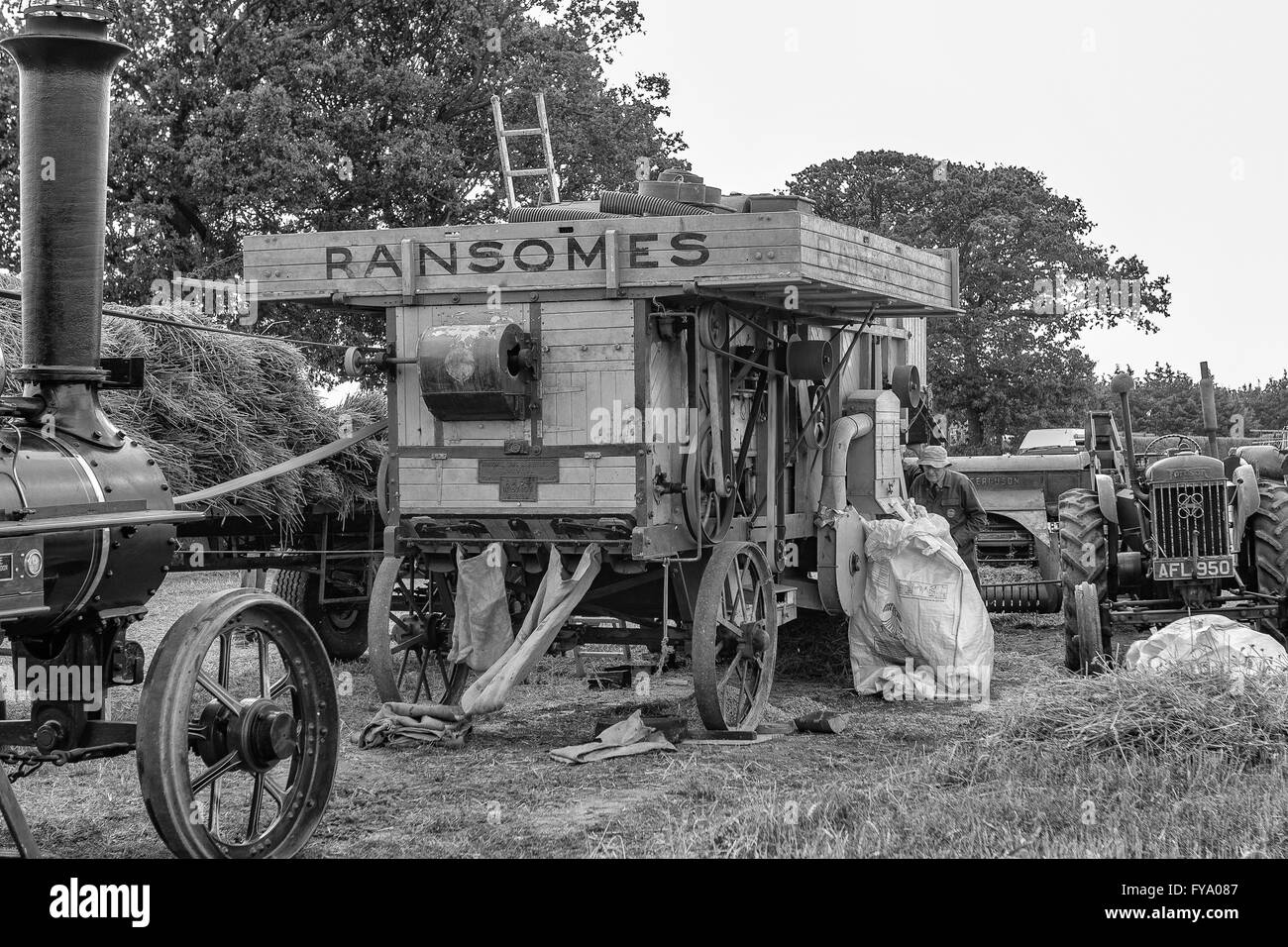 Threshing machine being powered by a steam traction engine, bygone ...