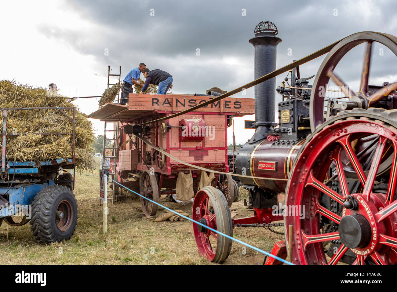 Threshing machine being powered by a steam traction engine, bygone ...