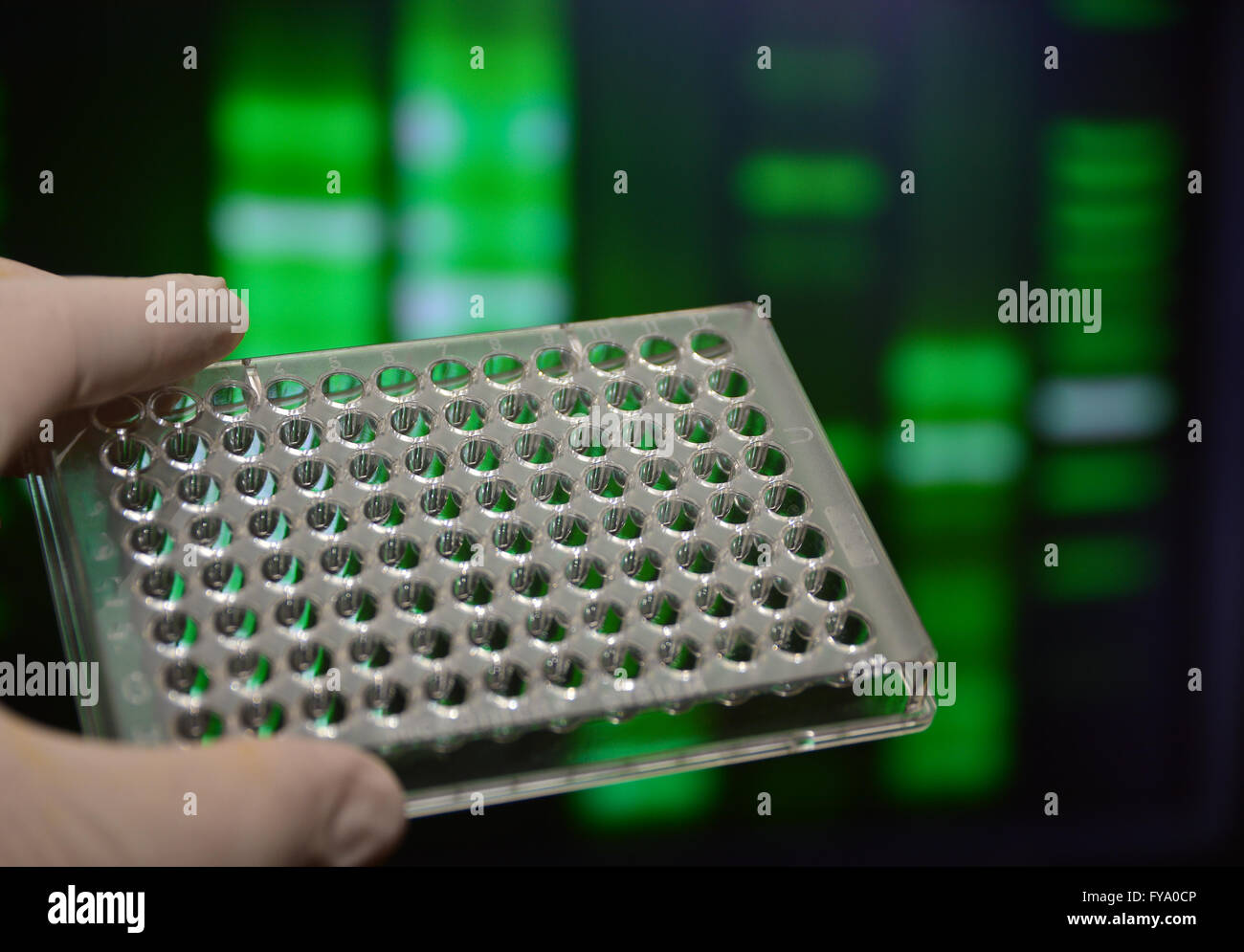 DNA testing in genetic laboratories. Biological scientific equipment ...