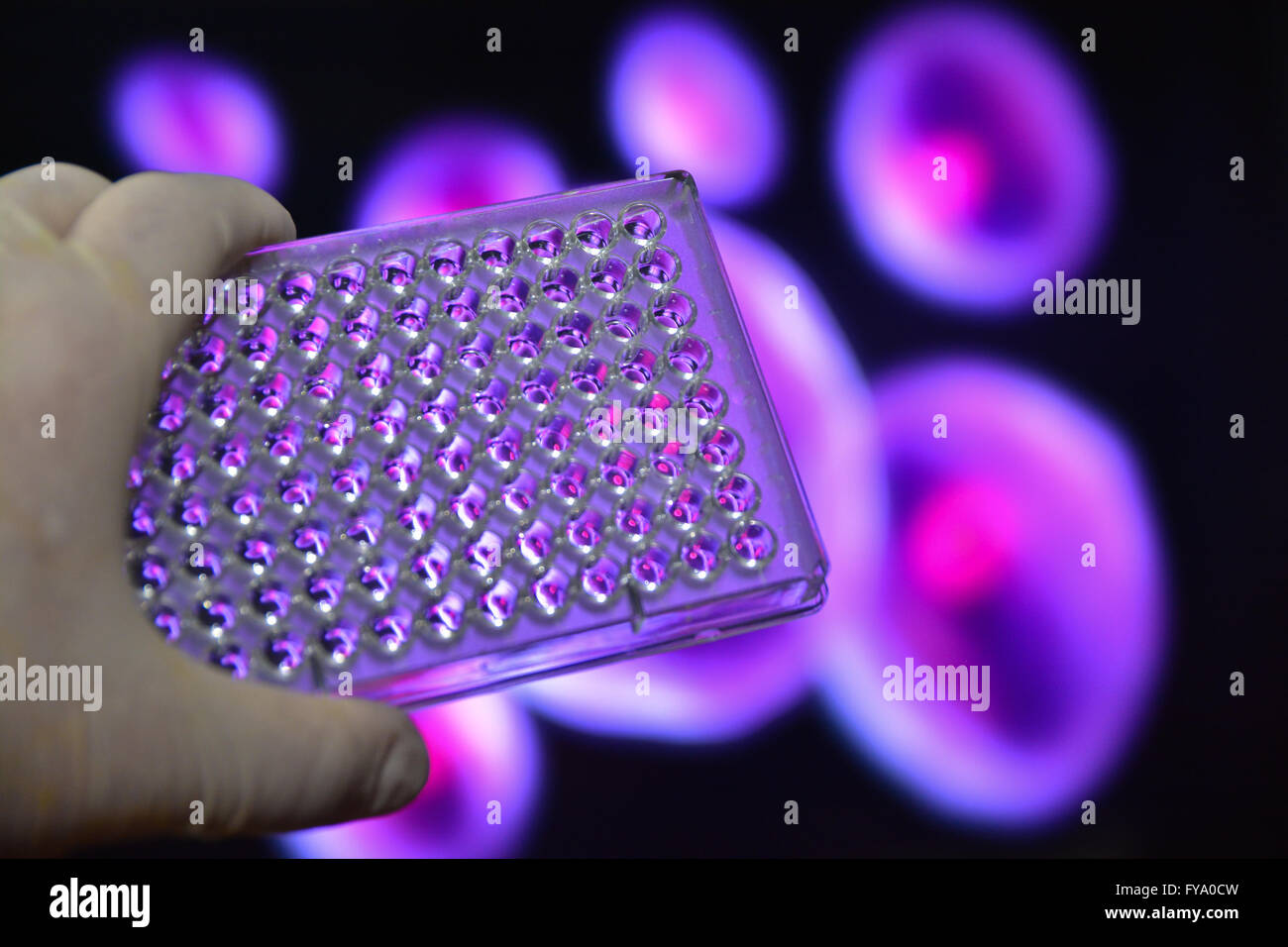 Cell technologies in laboratory research. The equipment of a biological ...
