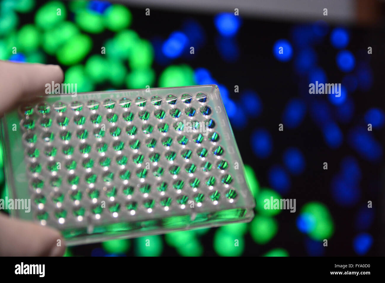 Human stem cell dish hi-res stock photography and images - Alamy