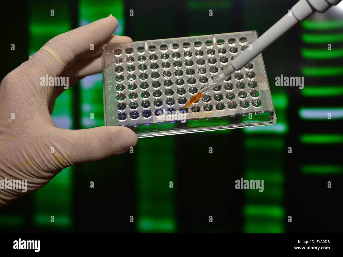 Genetic experiment hi-res stock photography and images - Alamy