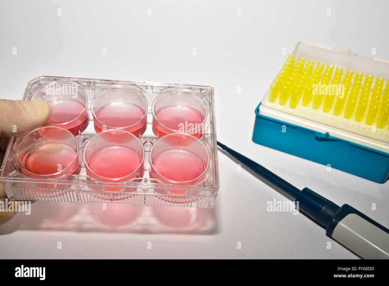 Laboratory technologies hi-res stock photography and images - Alamy