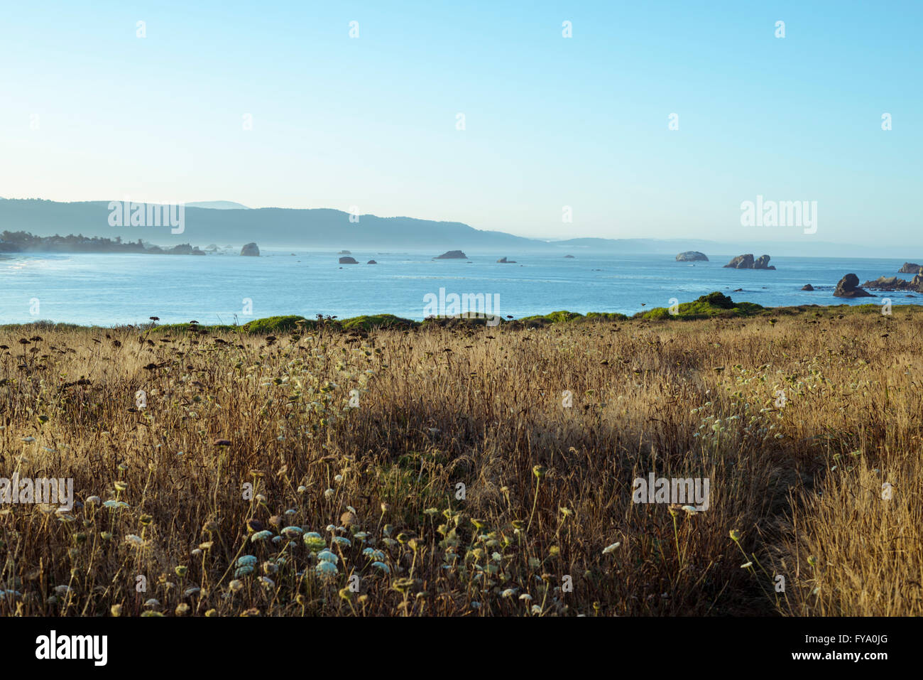 Meadow and coastal scene. Crescent City, California Stock Photo - Alamy