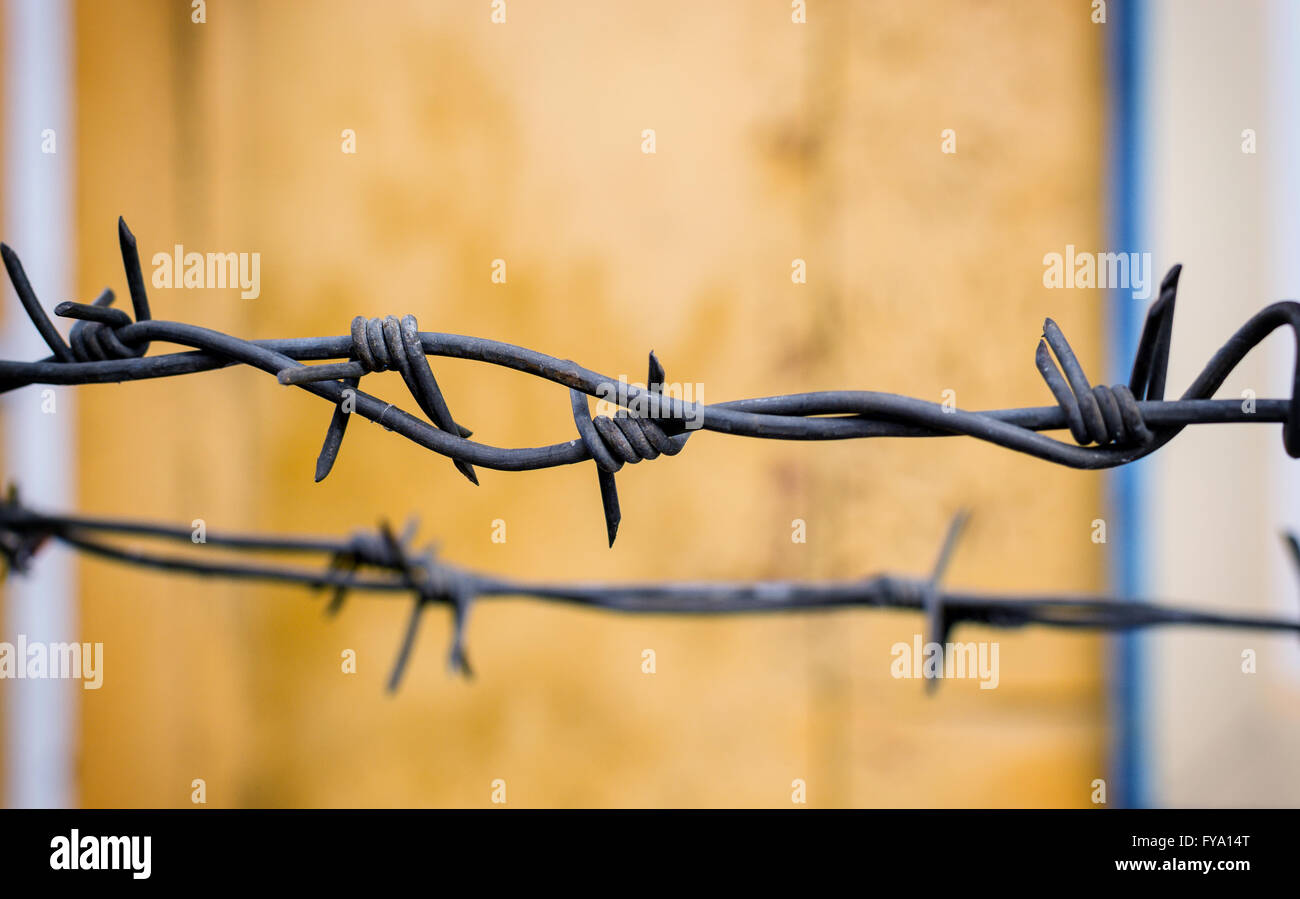 Barbed wire sharp metal spikes hi-res stock photography and images - Alamy