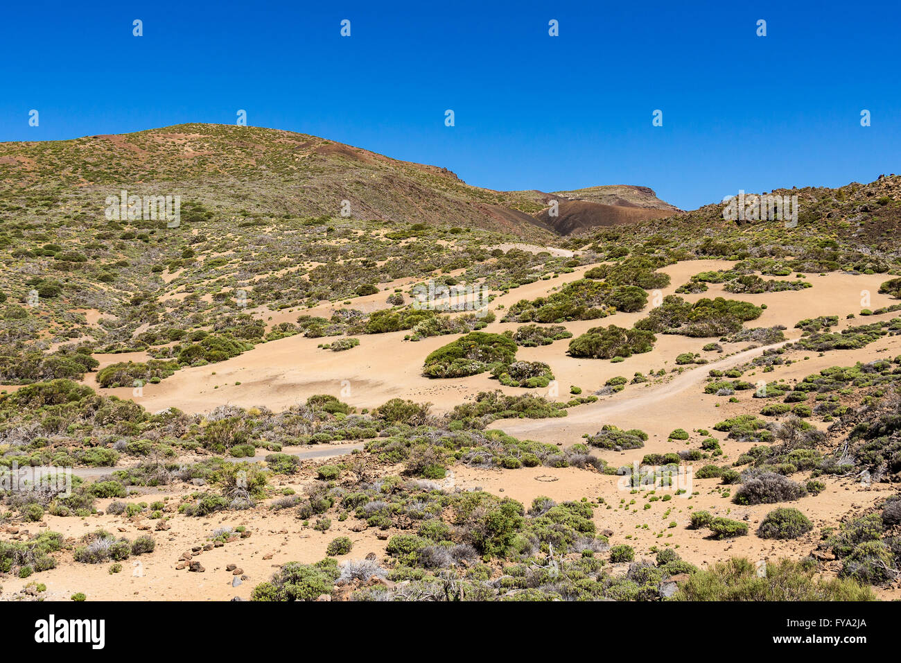Landscape on the canarian island Tenerife Stock Photo - Alamy