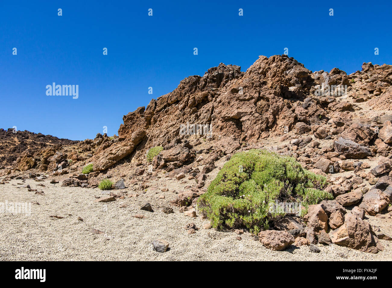 Landscape on the canarian island Tenerife Stock Photo - Alamy