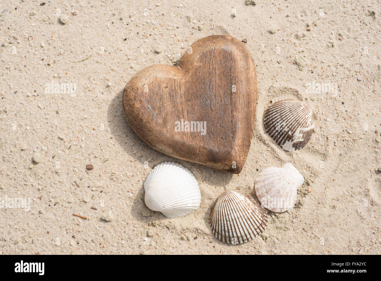 Heart of shells hi-res stock photography and images - Alamy