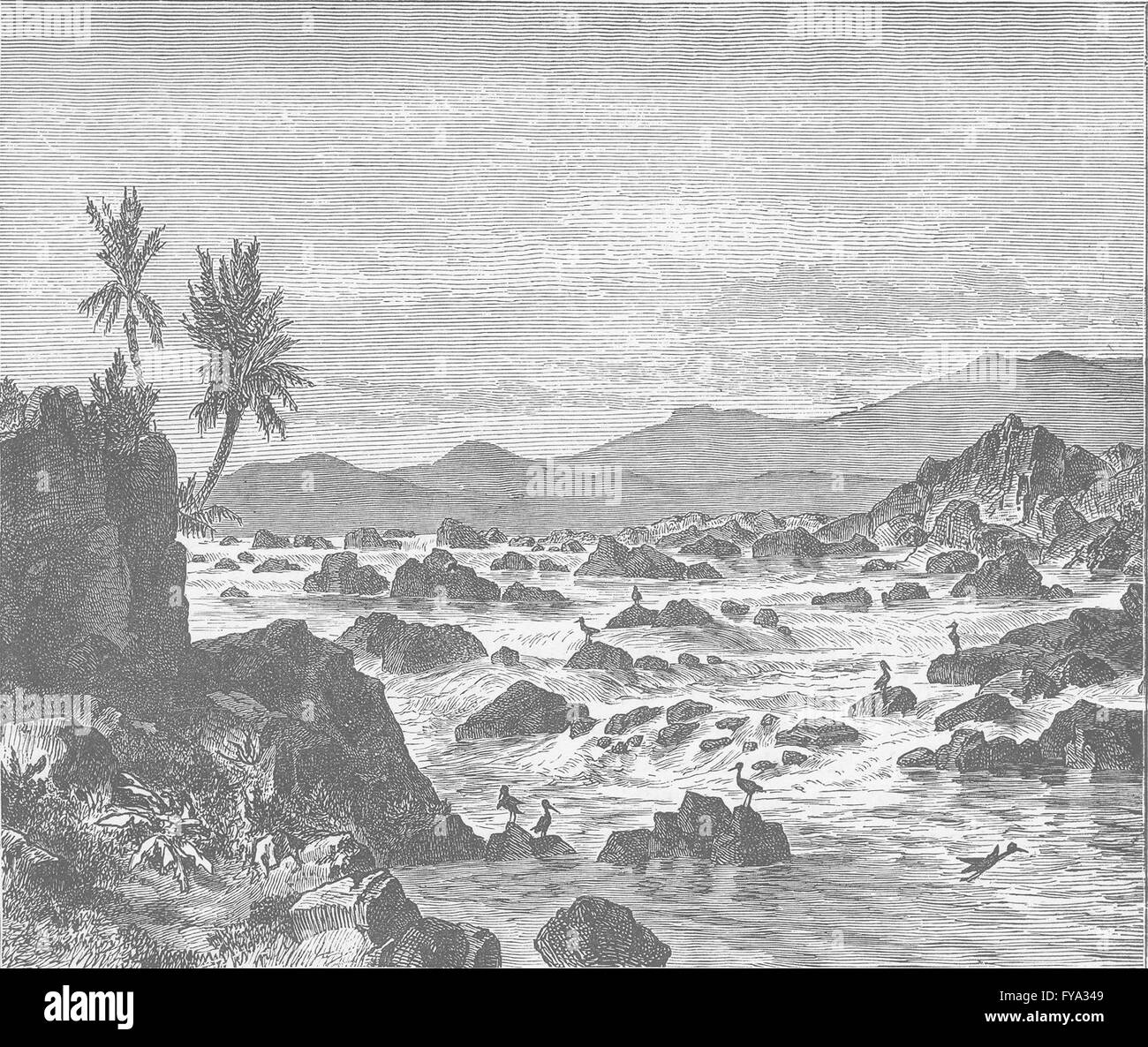 Cataracts Of The Nile Drawing