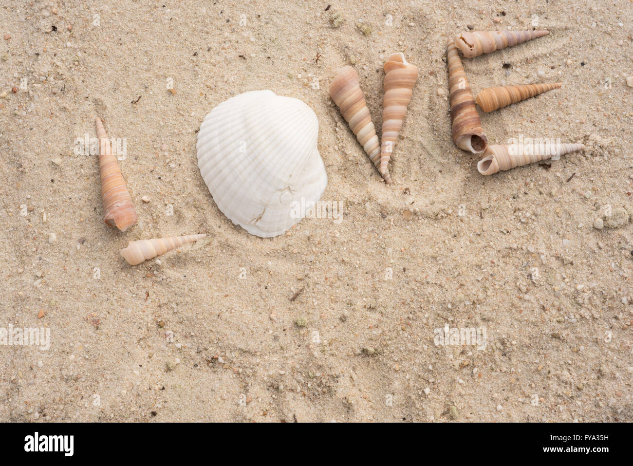 Love written in letters from sea shells in the sand Stock Photo - Alamy