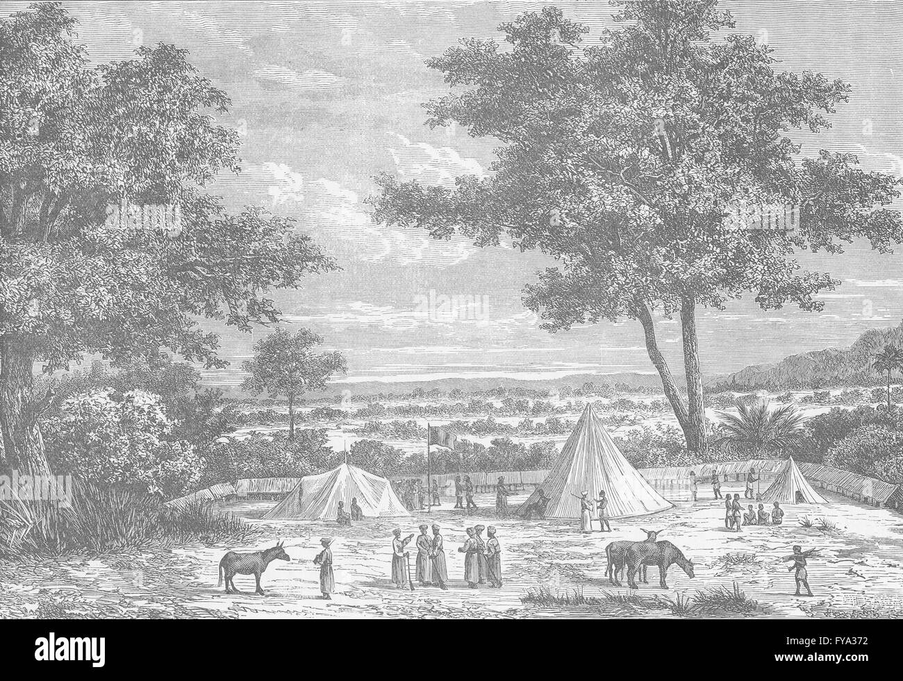 The makata swamp hi-res stock photography and images - Alamy