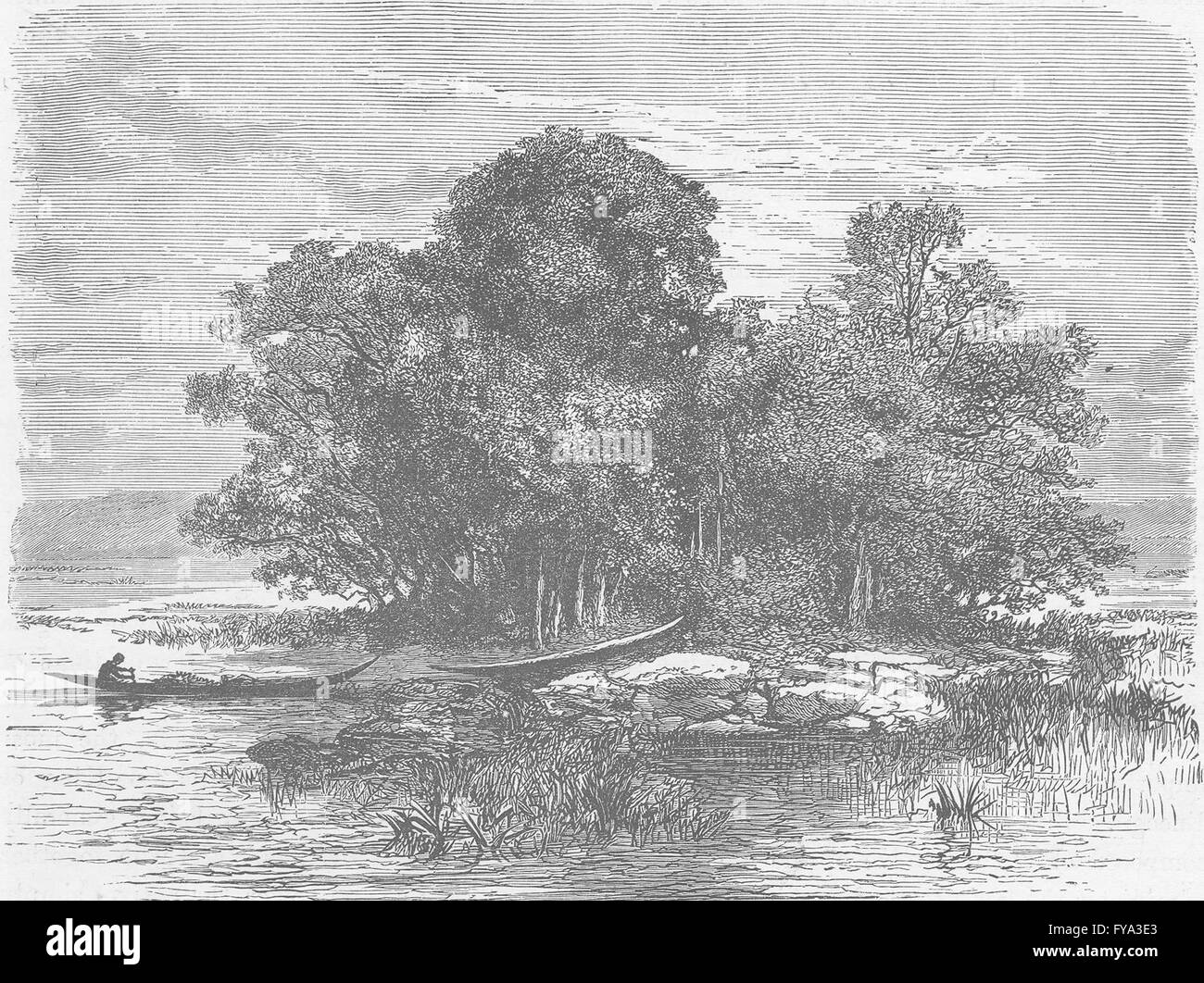Ogooue river gabon hi-res stock photography and images - Alamy